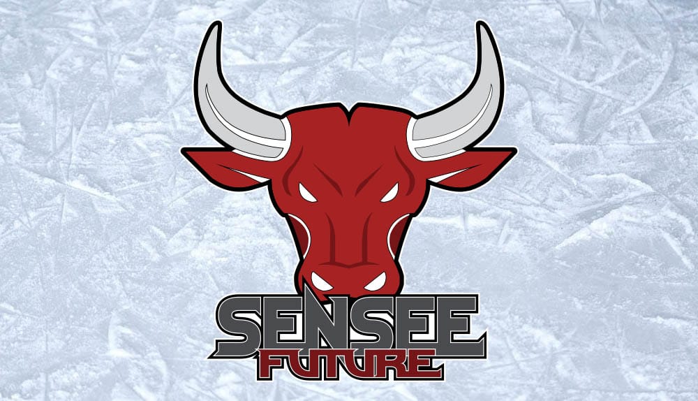 U20-A: Sensee Future fête la promotion - PhotHockey